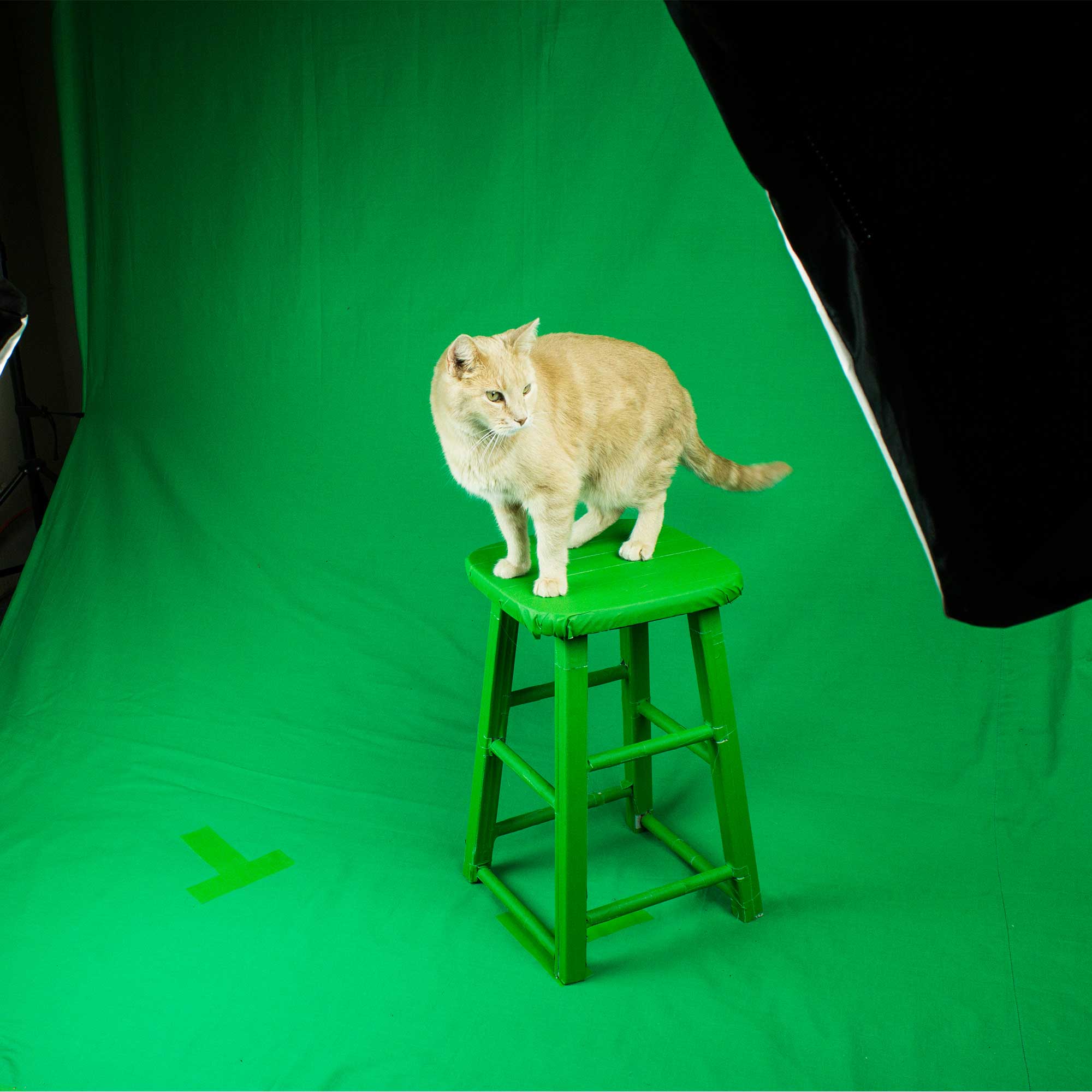 Green Screens and Gaffer Tape - BFFs in the Production World. – Gaffer ...